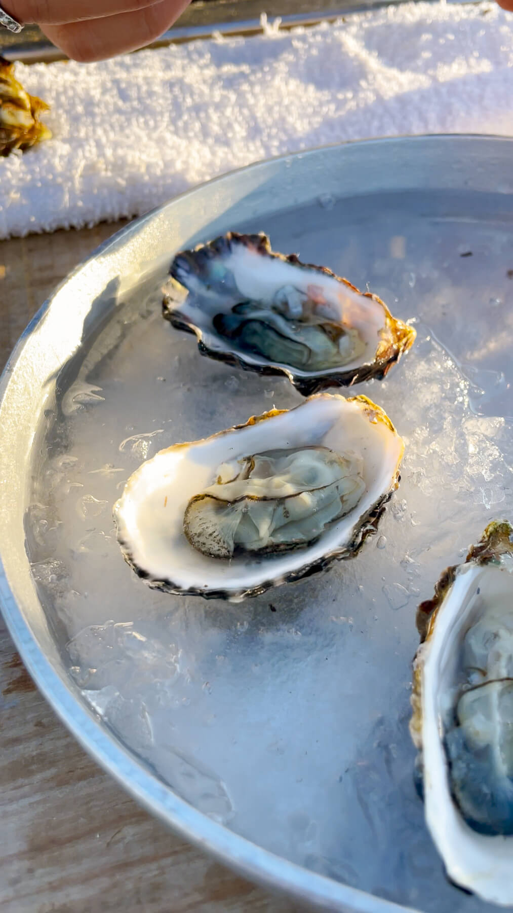 Point Reyes Oysters | On-Demand | H&H Fresh Fish | On Demand Delivery ...